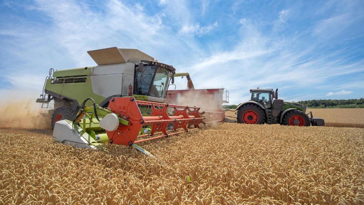Trump's $12 billion aid to farmers arrives February 2026. Here's how to ...