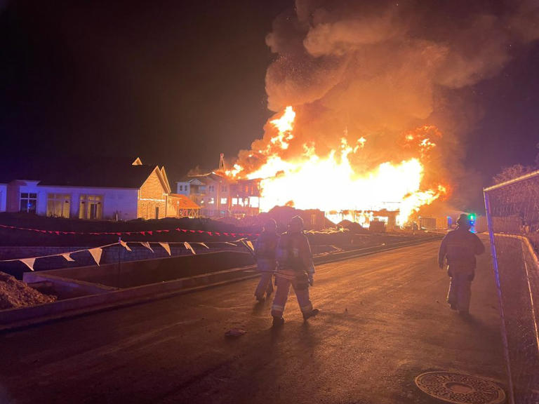 Travis County issues burn ban, warns of ‘freeze-cured grasses’ ignition ...