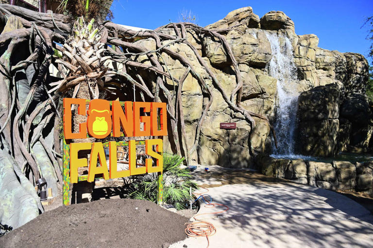 First look: Congo Falls brings gorillas back to the San Antonio Zoo in ...