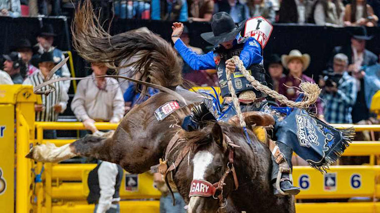 NFR rough stock average standings see big changes after first five rounds