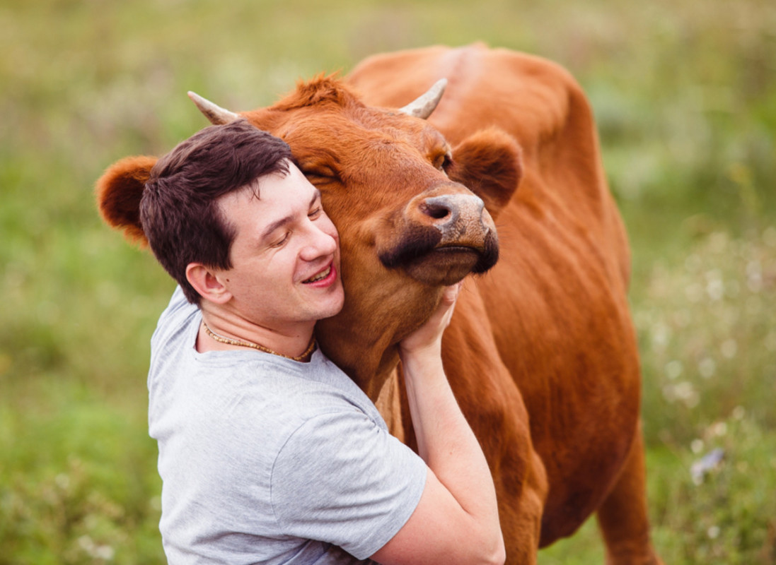Video of blind cow hugging her dad will instantly warm any heart
