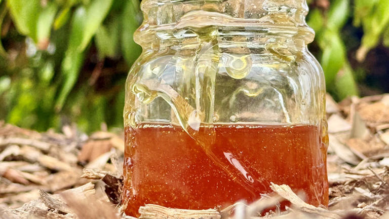 Testing on supermarket imported honey finds some is not all honey