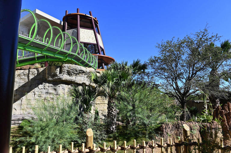 Ape-plus: San Antonio students are getting $1M in tickets to the zoo's ...