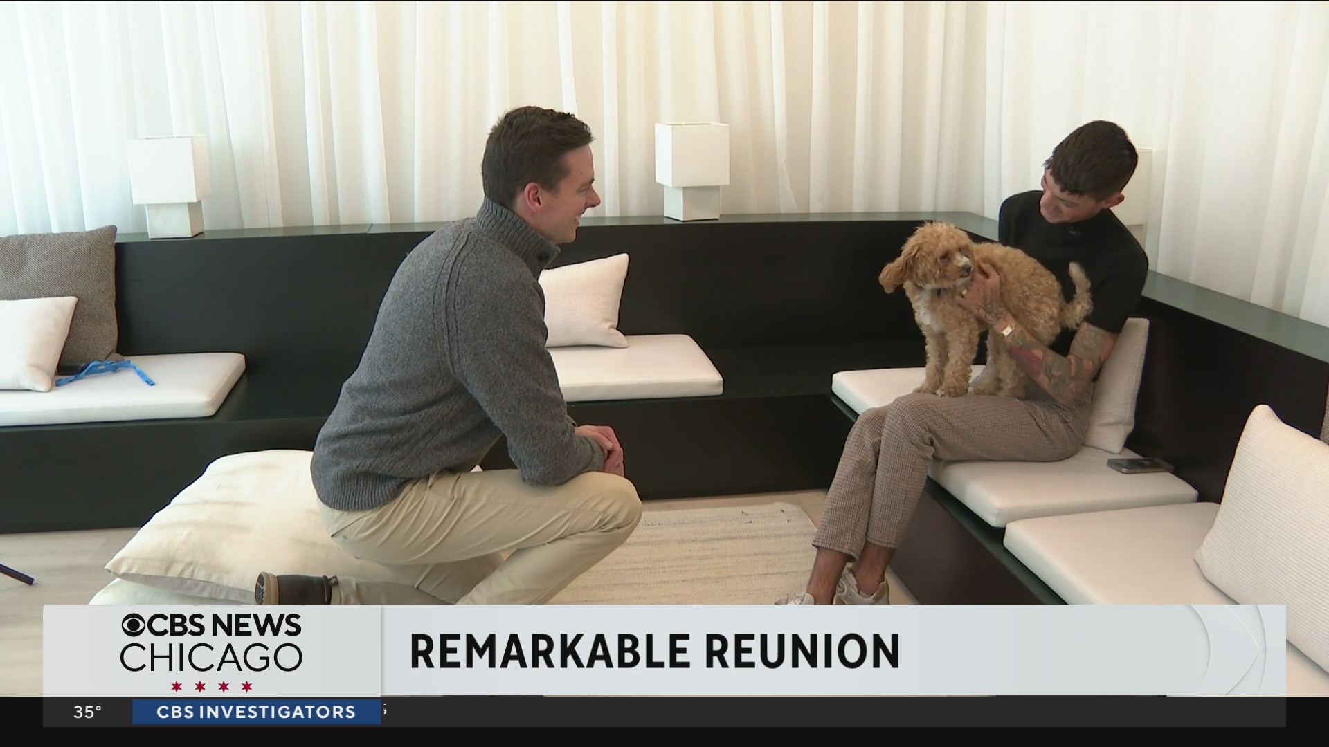 Missing goldendoodle reunited with owner after being spotted with stranger
