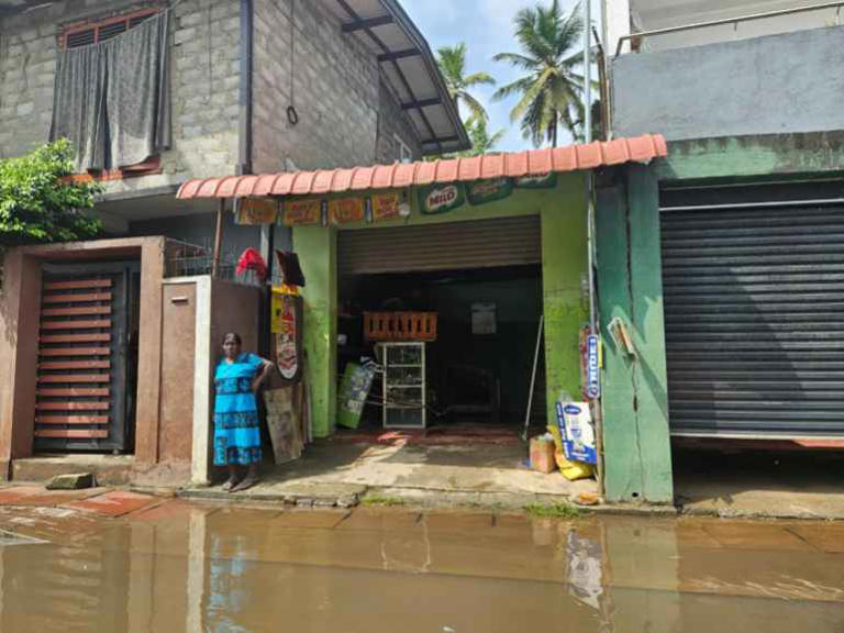 Like wastelands: Sri Lanka tea plantations suffer Cyclone Ditwah’s wrath