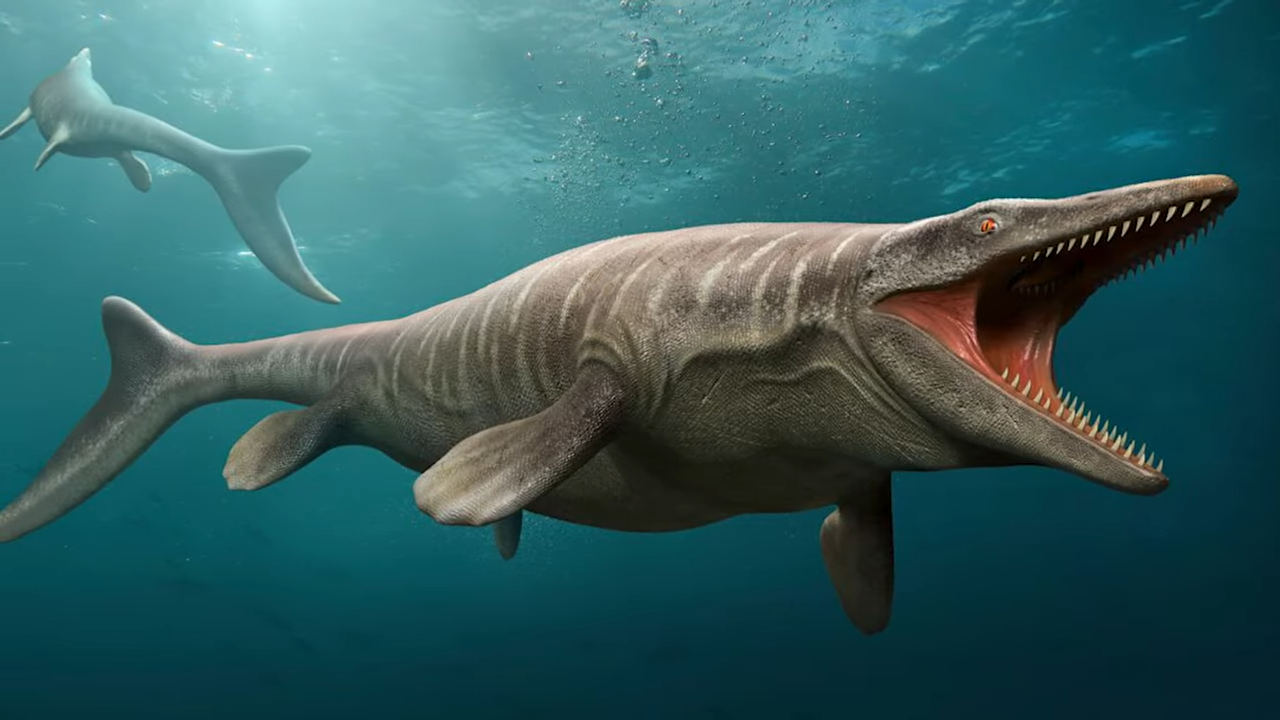 How a colossal sea hunter became the oceans most feared creature