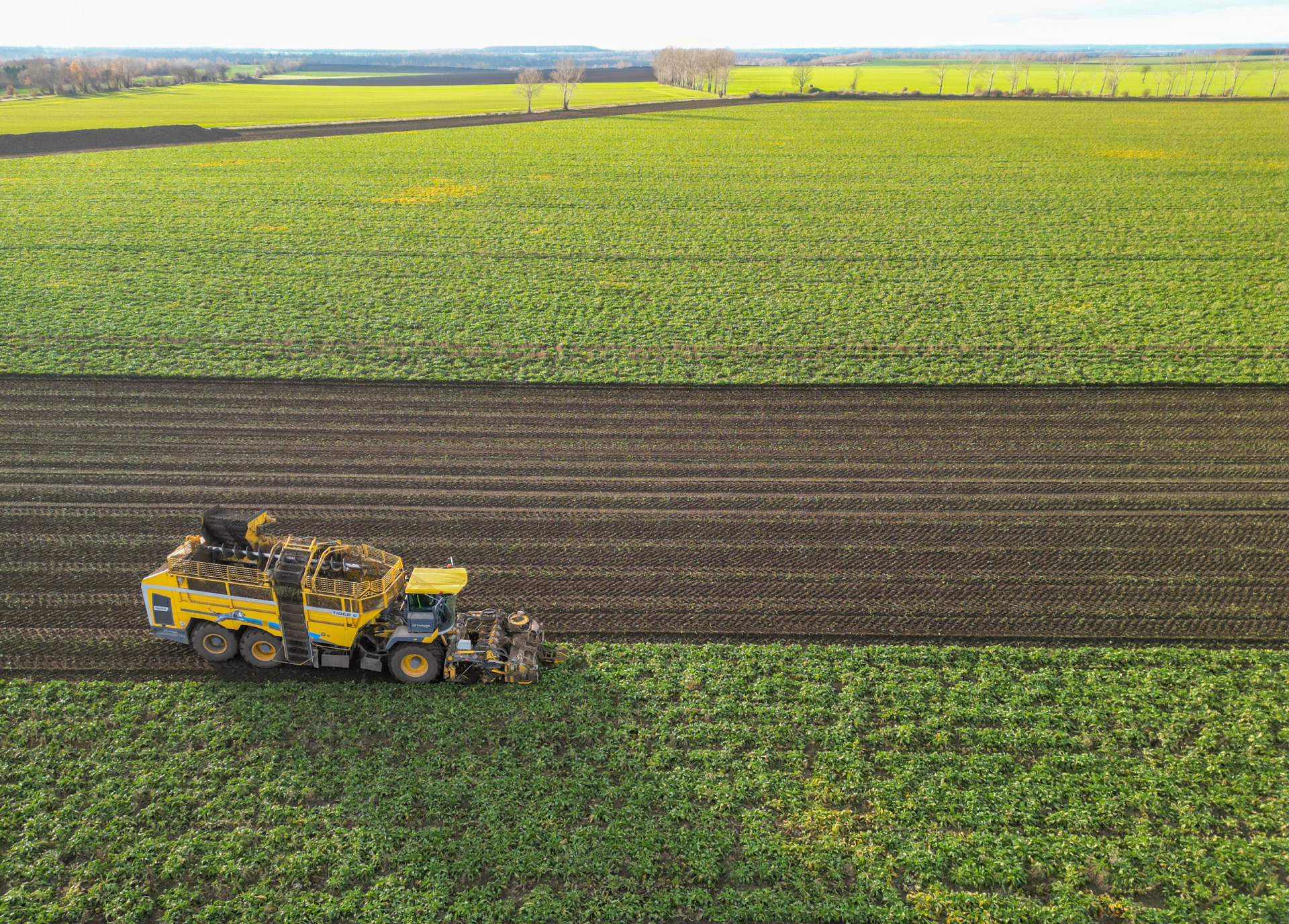 Countries with the most agricultural land