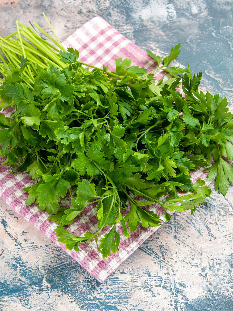 4 genius solutions to keep coriander fresh for days
