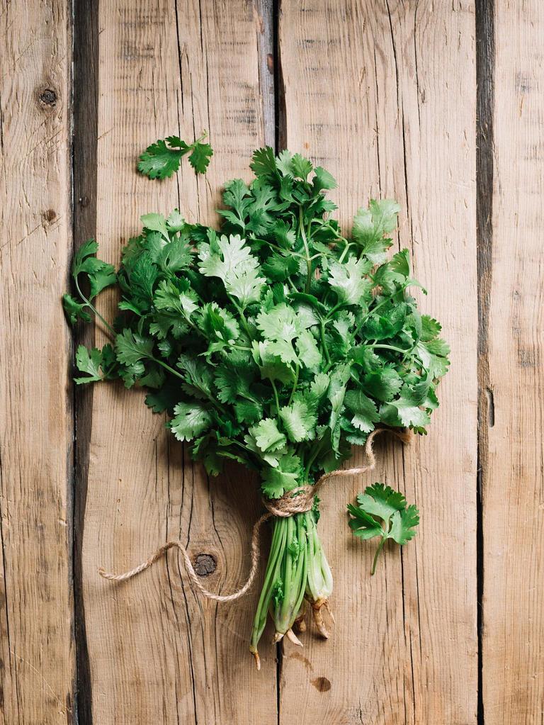 4 genius solutions to keep coriander fresh for days