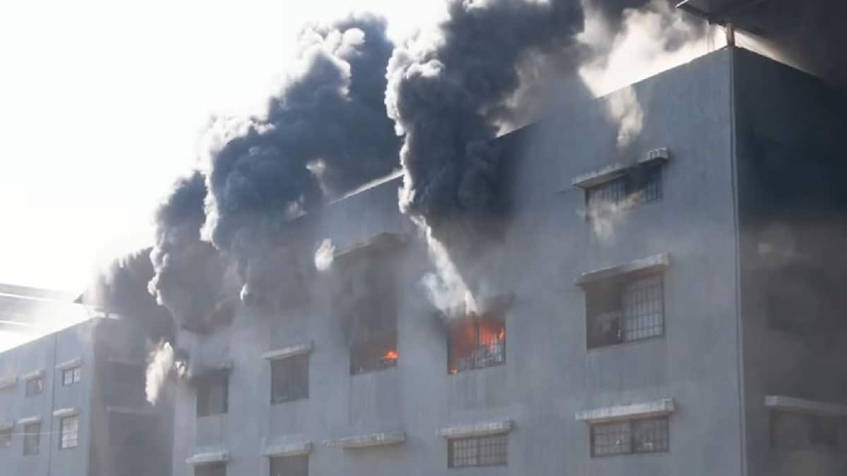 Massive fire erupts at Surat’s Raj Textile Market; over 20 shops damaged
