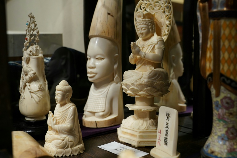 Japanese ivory trade attracts fresh global scrutiny