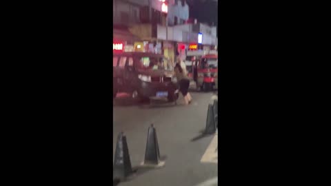 China: Loyal dog helps owner push van in Chongqing