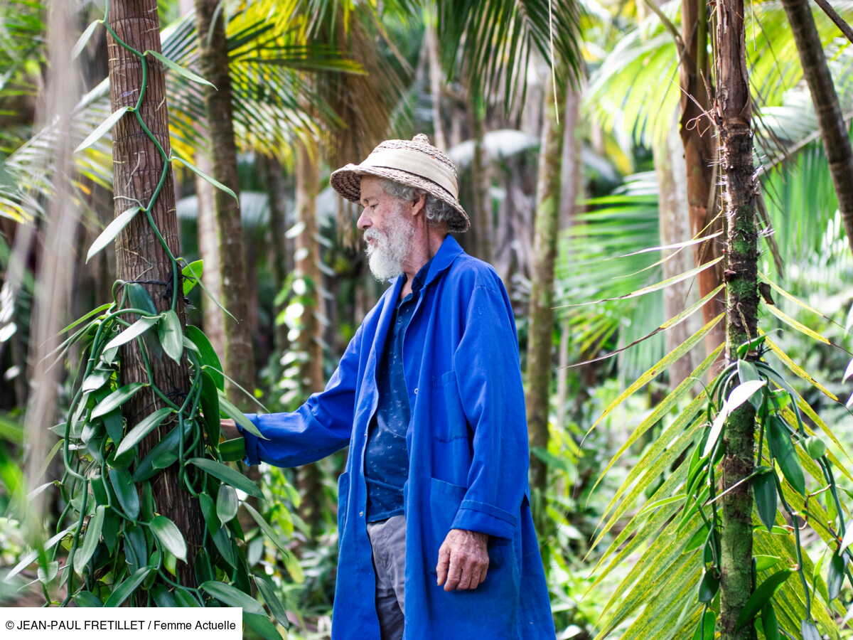 Comment pousse la vanille ? Reportage dans les coulisses chez 3 producteurs