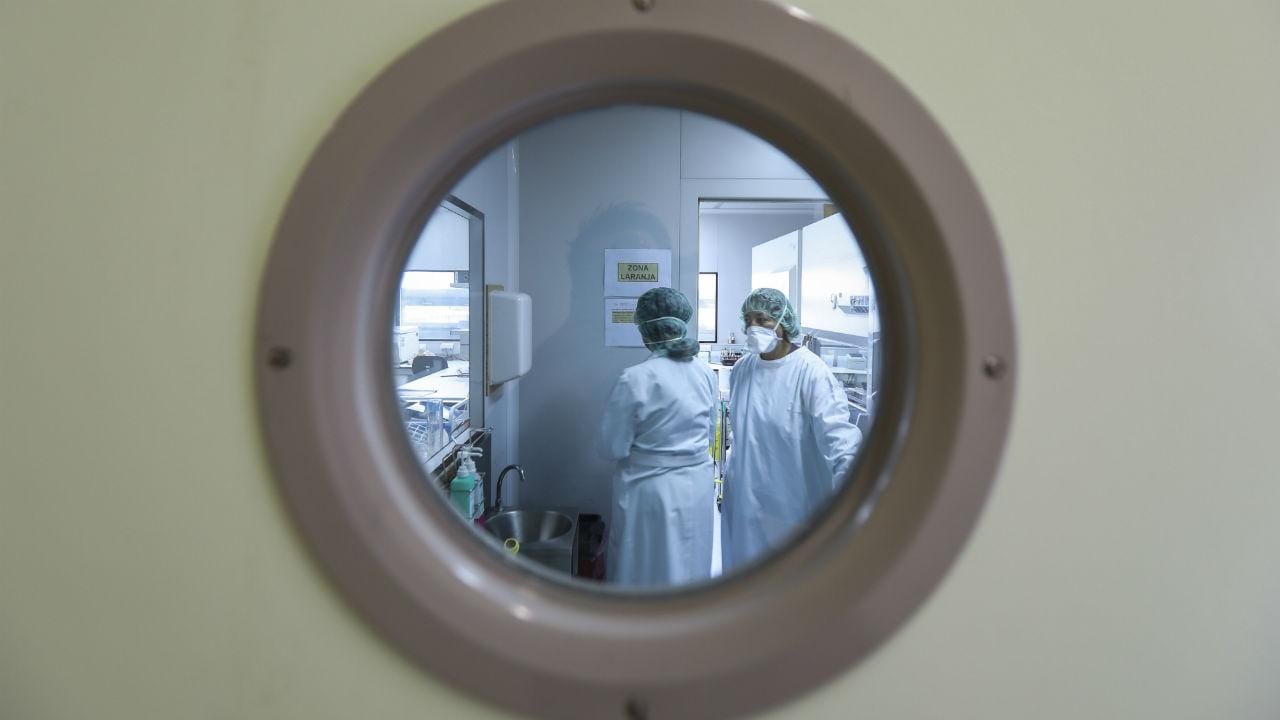 Candida auris: o que é preciso saber sobre este fungo - perigos ...