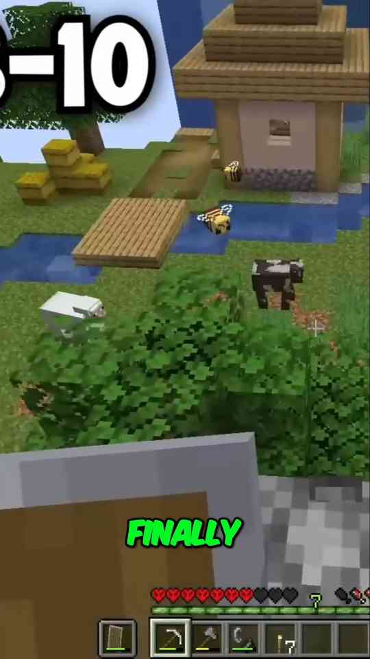 Minecraft noob’s nightmare: Creepers, cows, and cave chaos!