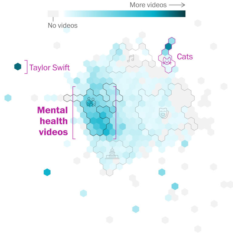Are you in TikTok’s cat niche? What 121,000 videos reveal.