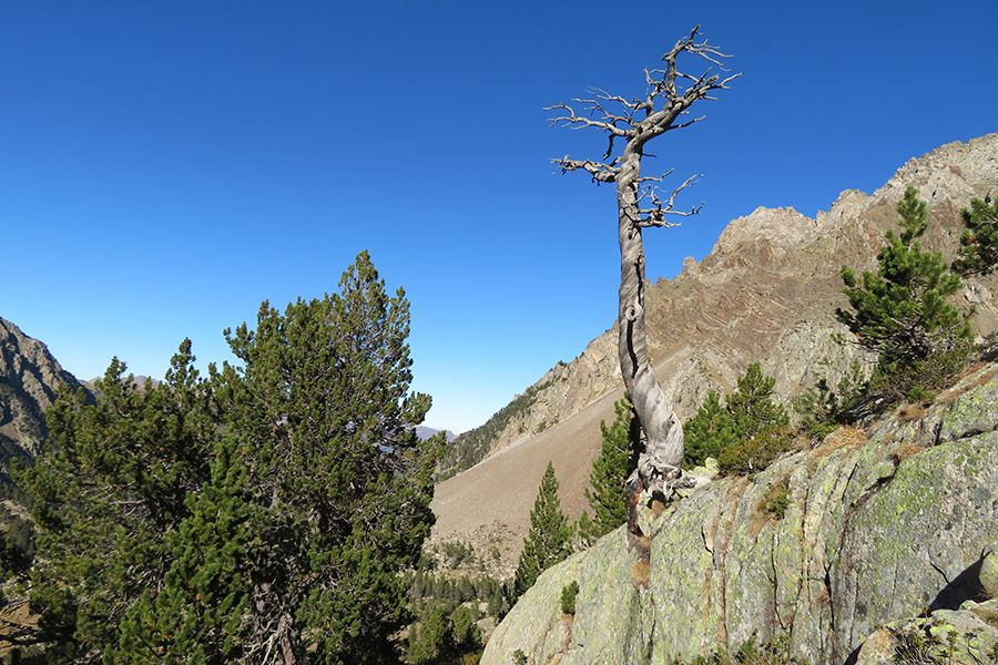 Volcanic eruptions may have triggered chain reaction that unleashed ...