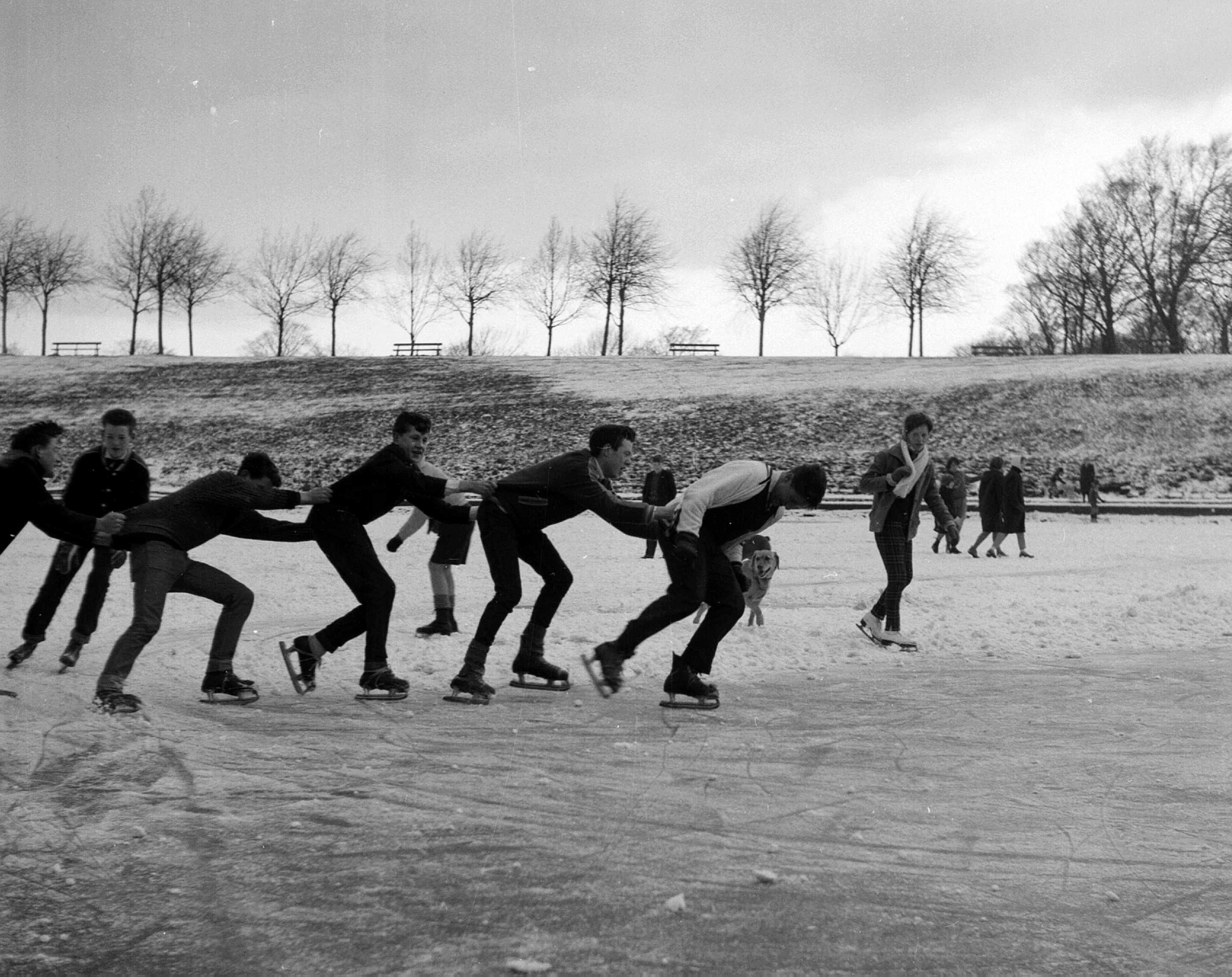 Inverleith heritage in pictures: Here are 32 fascinating photos of the ...