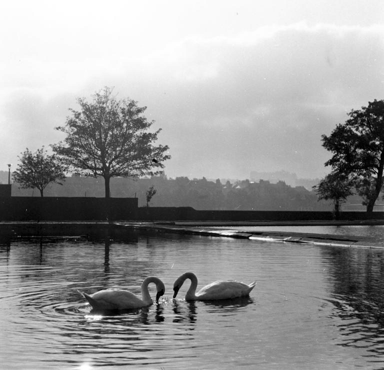 Inverleith heritage in pictures: Here are 32 fascinating photos of the ...