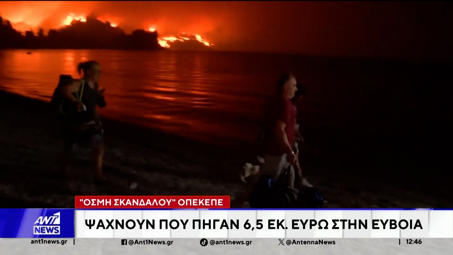 Έρευνα με οσμή... νέου ΟΠΕΚΕΠΕ συγκλονίζει την Εύβοια