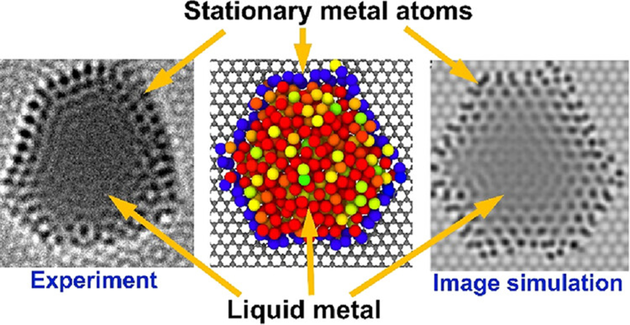 ‘New phase of matter’: Scientists watch liquid metal freeze in real ...