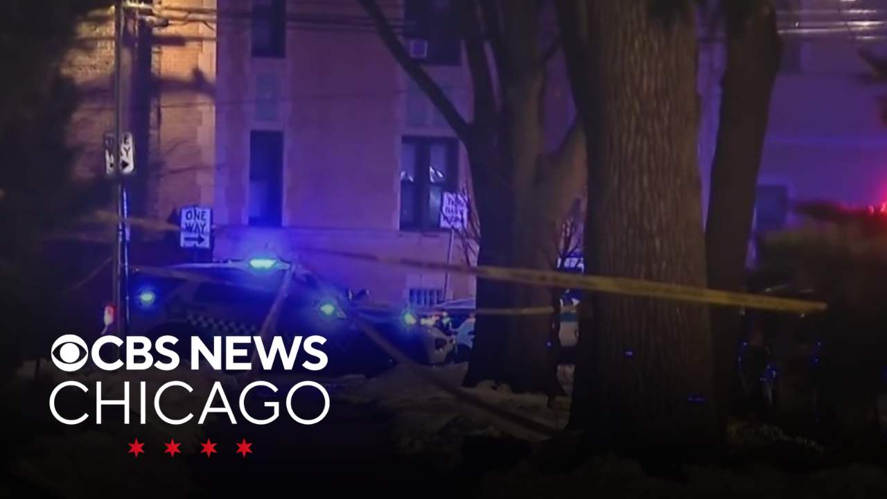 Man shot, killed by Chicago police during car theft investigation on ...