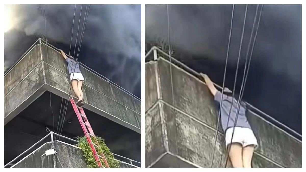 Wanita di Cebu Filipina jadi viral setelah menyelamatkan dua anjing ...