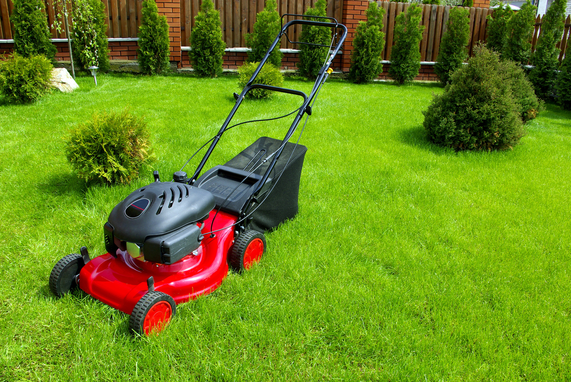 Eco-friendly landscaping ideas for any yard