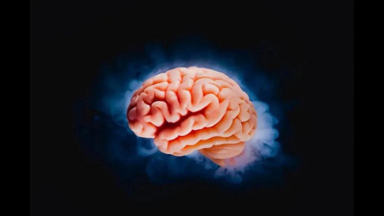 Adolescence lasts into your 30s, and other surprises about the brain