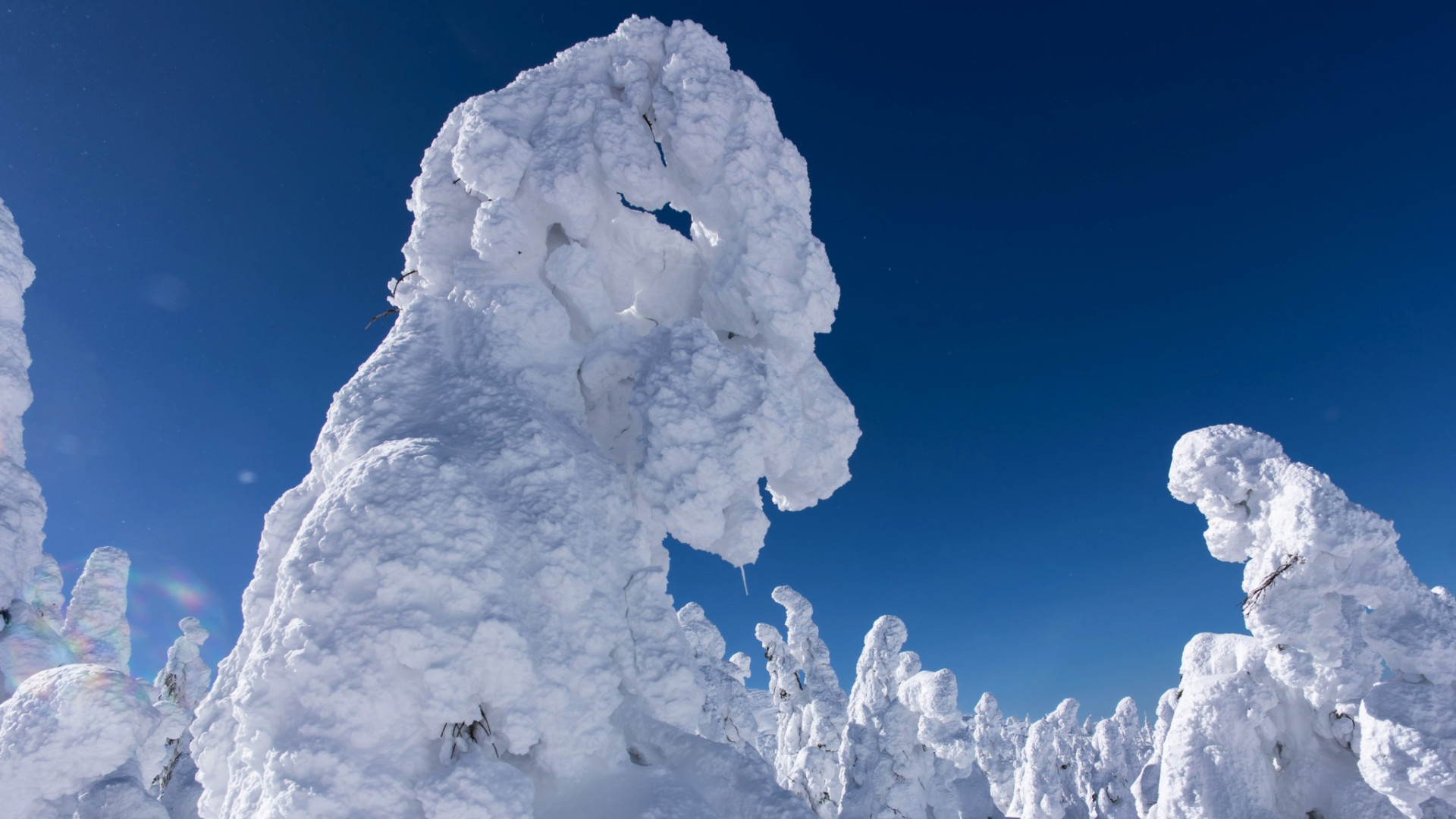 What are Japan's 'snow monsters' and why are they disappearing?