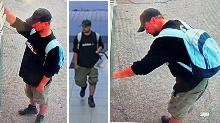 Motto "Gelegenheit macht diebe" in Niederösterreich: Wer kennt diesen Mann?