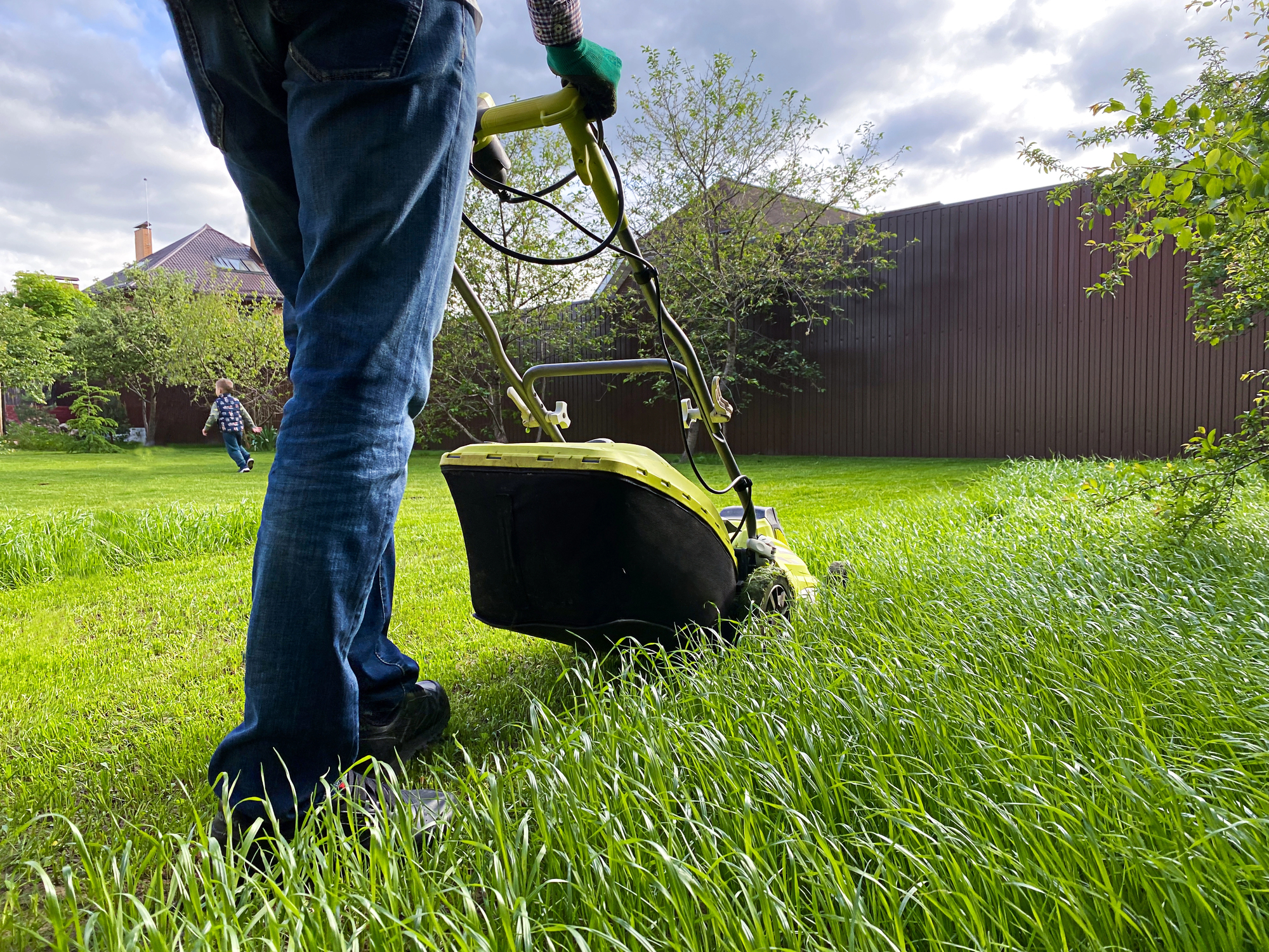 15 lawn care tips you need