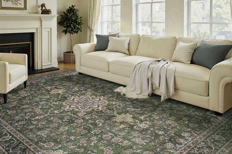 I have 2 cats and a dog, and my under-$100 Wayfair rug holds up to all ...