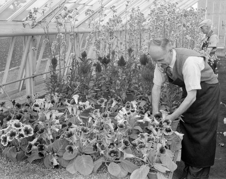 Inverleith heritage in pictures: Here are 32 fascinating photos of the ...