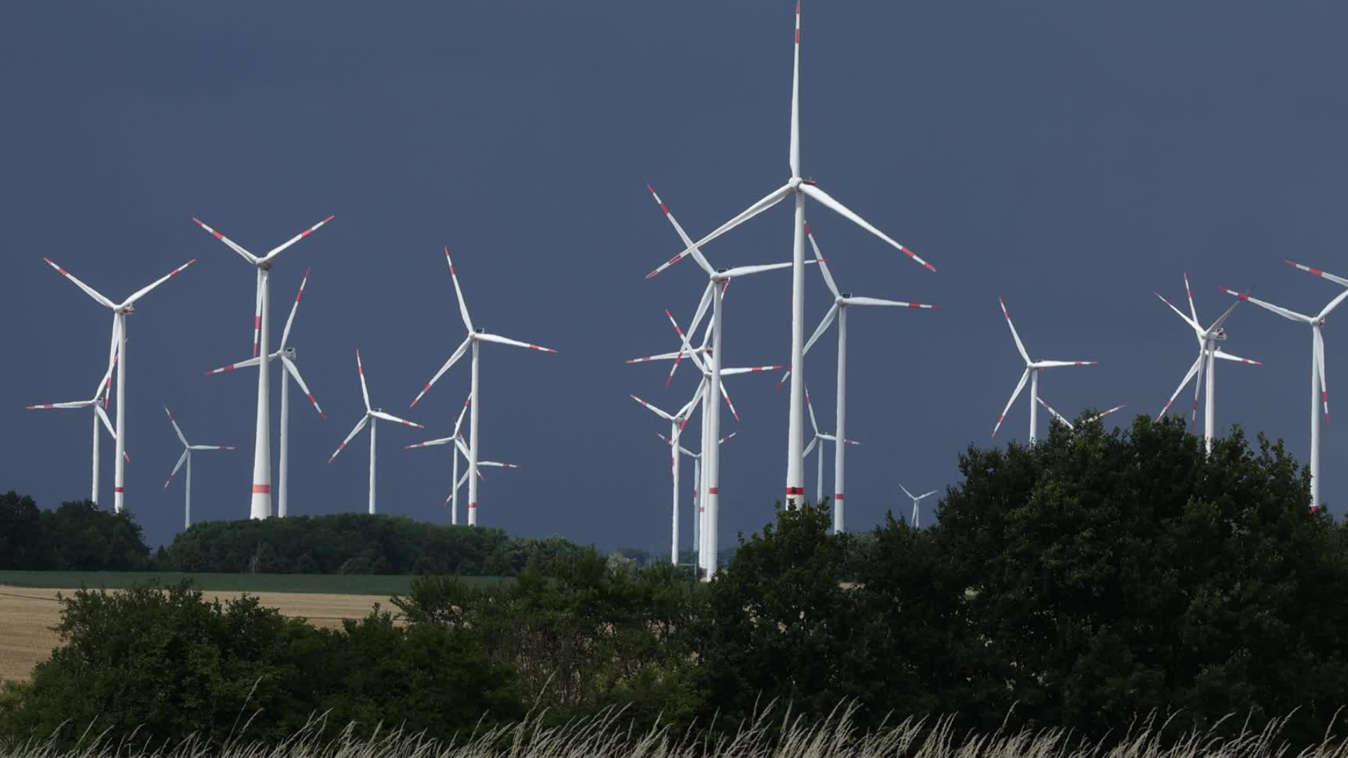 Court rules Trump's wind permit freeze unlawful