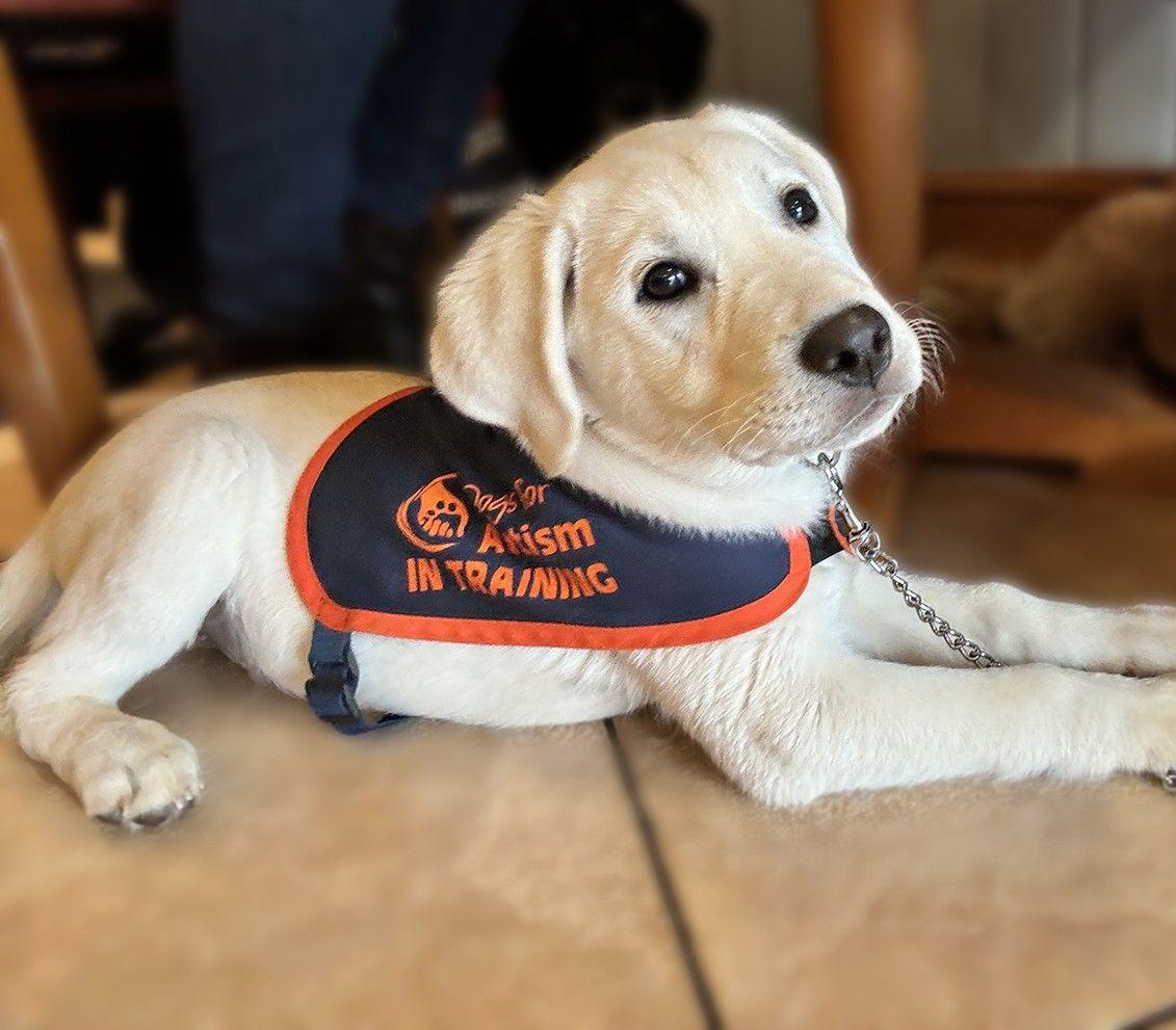 Hampshire charity Dogs for Autism receives almost £8,500 from Raffle House