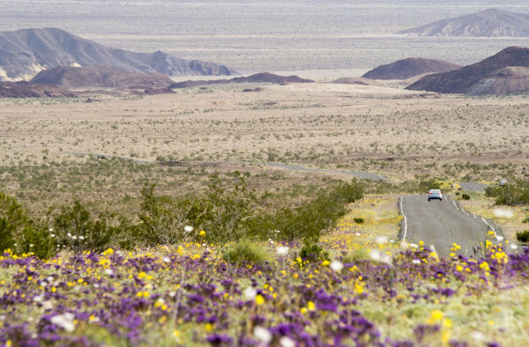 Ancient lake reemerges after record rainfall at Death Valley National Park