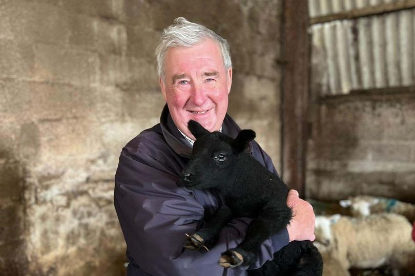 The Yorkshire Vet's Peter Wright reveals wife's brutal response as he ...