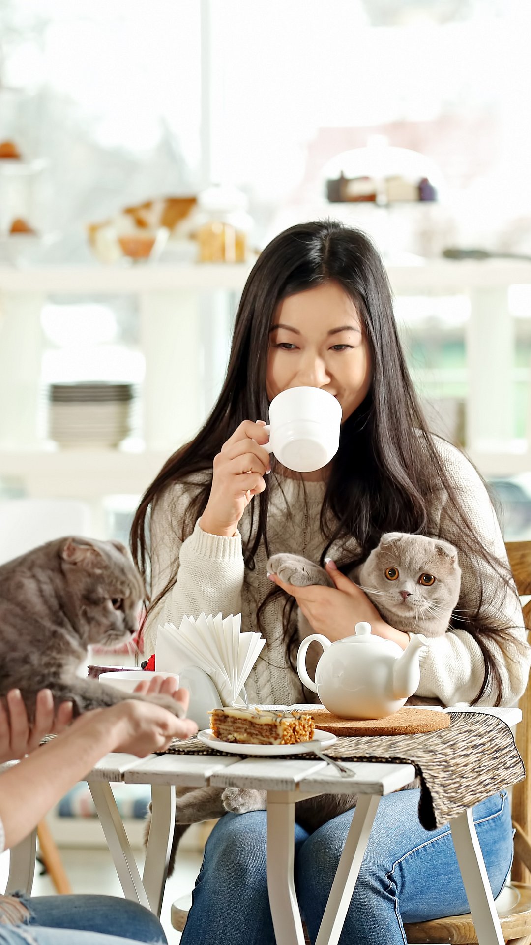 5 pet-friendly cafes in Mumbai to spend quality time with your cats & dogs