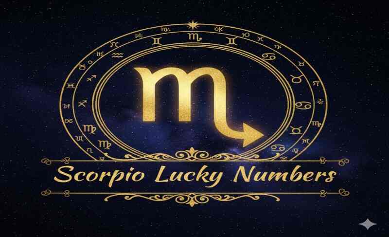 Scorpio lucky numbers: The transformational digits for the water sign