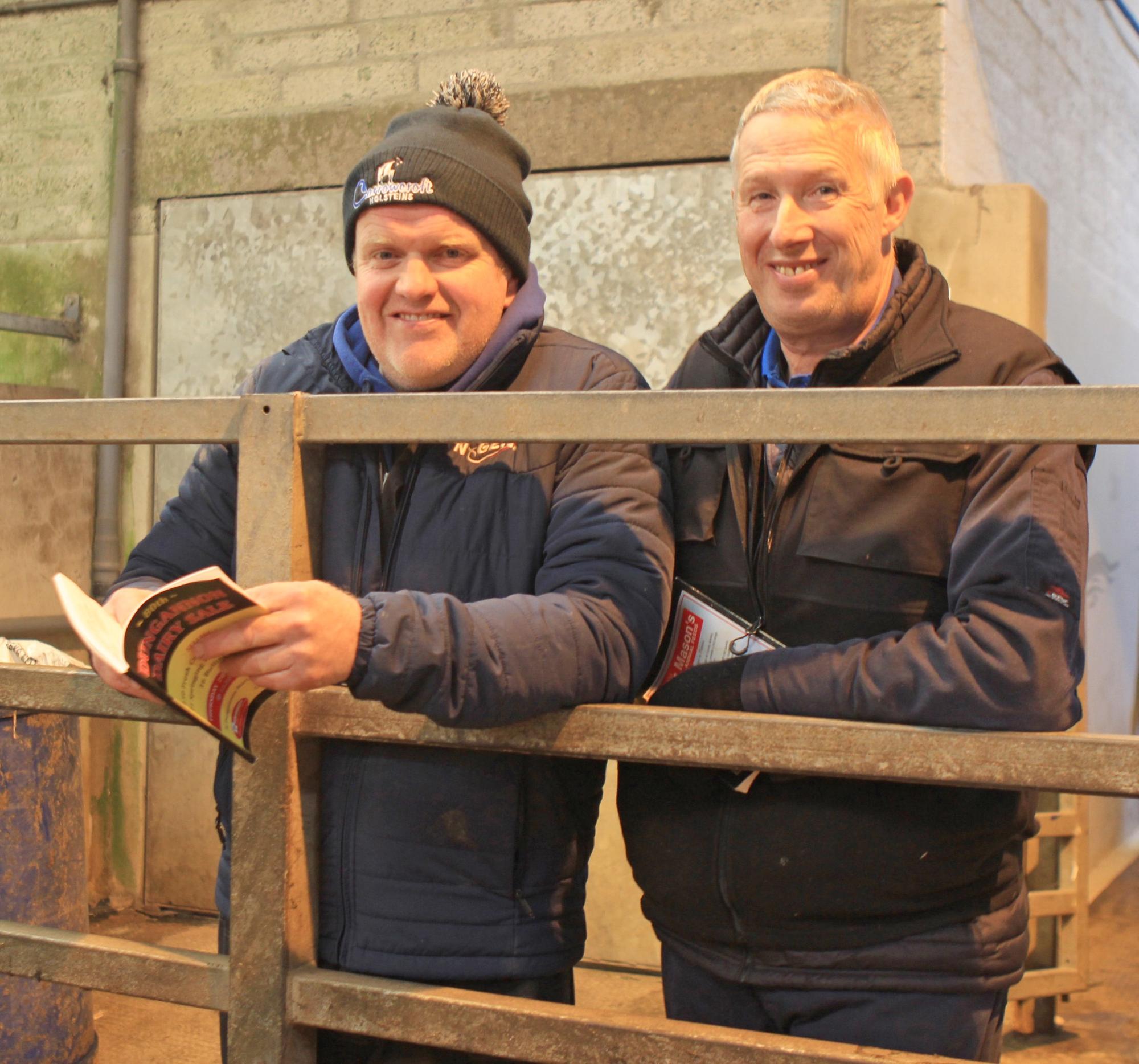 Holstein heifers peak at 4,100gns in Dungannon