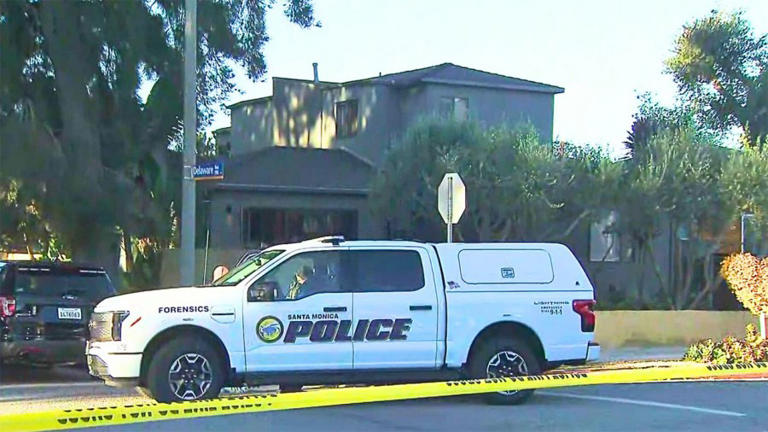Son arrested in fatal stabbing of Grammy-nominated singer; friends mourn