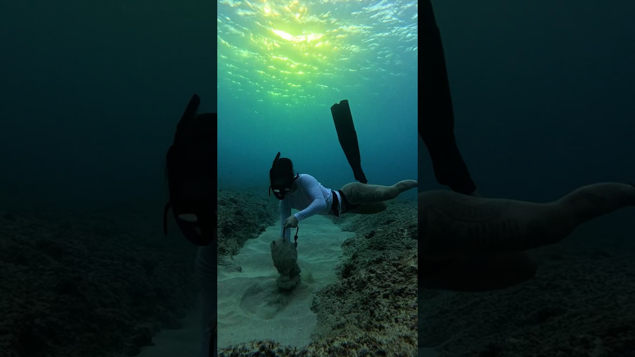 Rope tied to a rock discovered at the bottom of the ocean