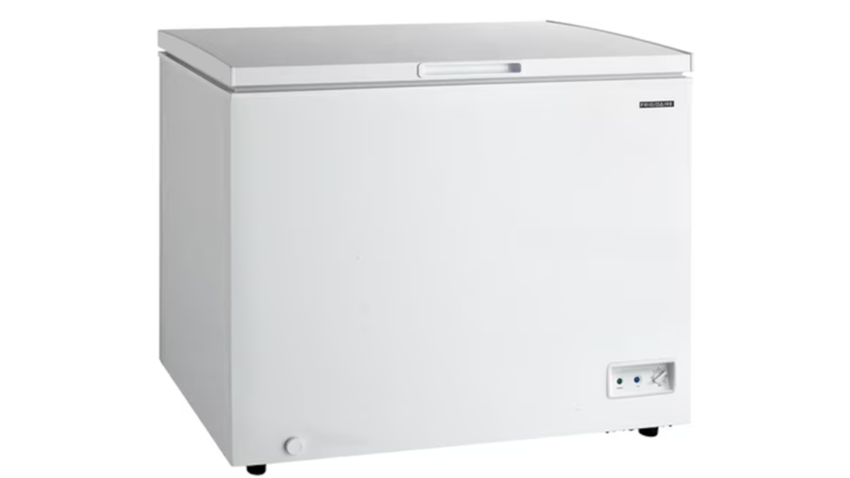 Easily store your holiday leftovers with these 15 freezers and mini fridges