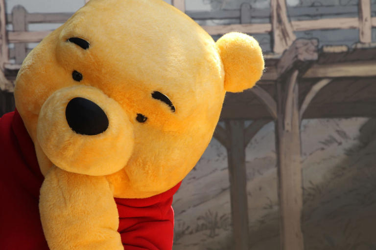 Winnie the Pooh was inspired by a real bear