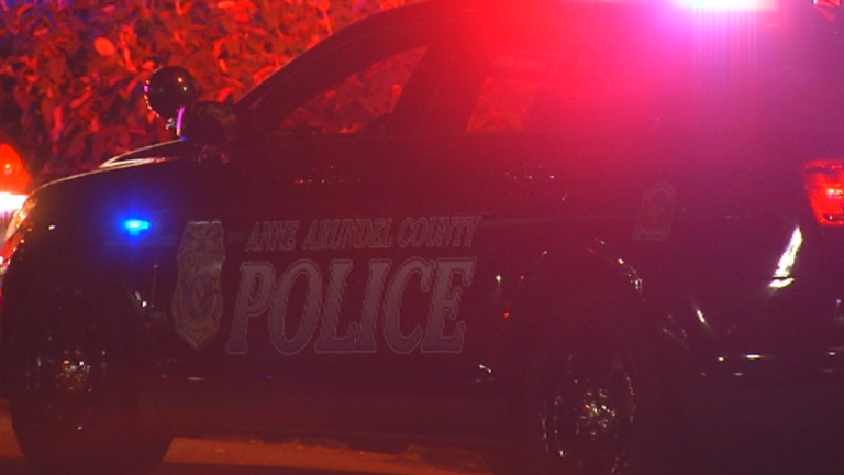 Two men arrested in Annapolis for attempted tire theft at car dealership