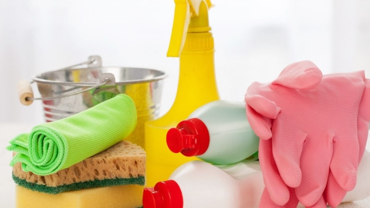 These smells are bad for your cat: keep them out of your home