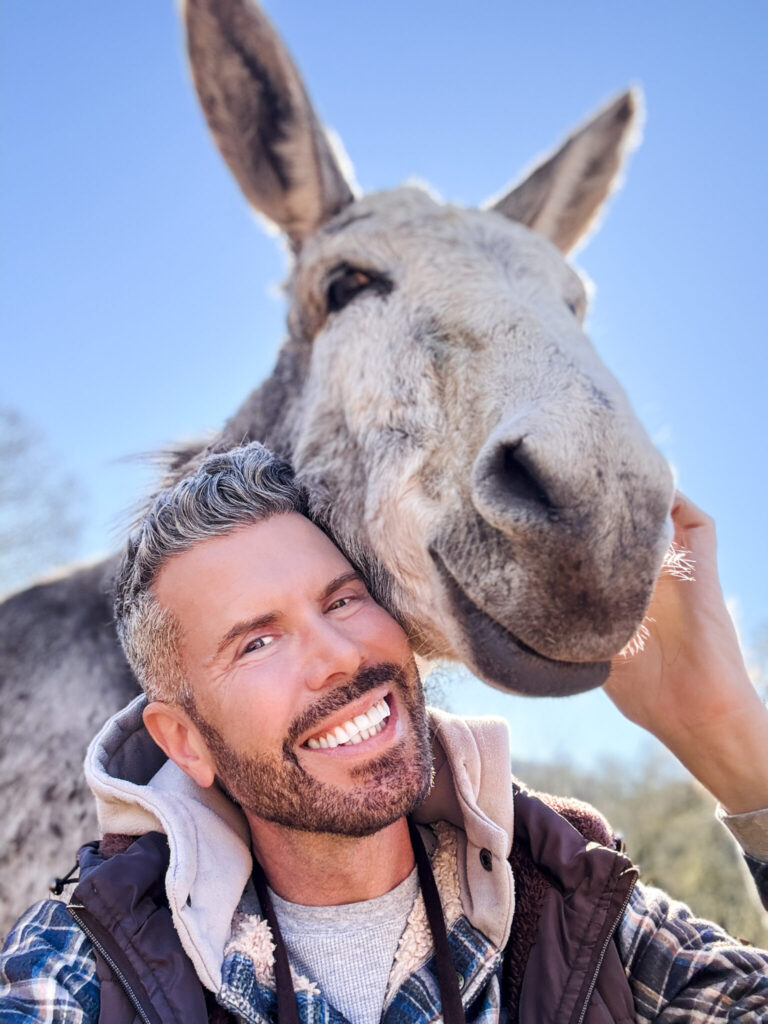 Hearst Media Production Group to debut Donkey King on ABC stations on ...