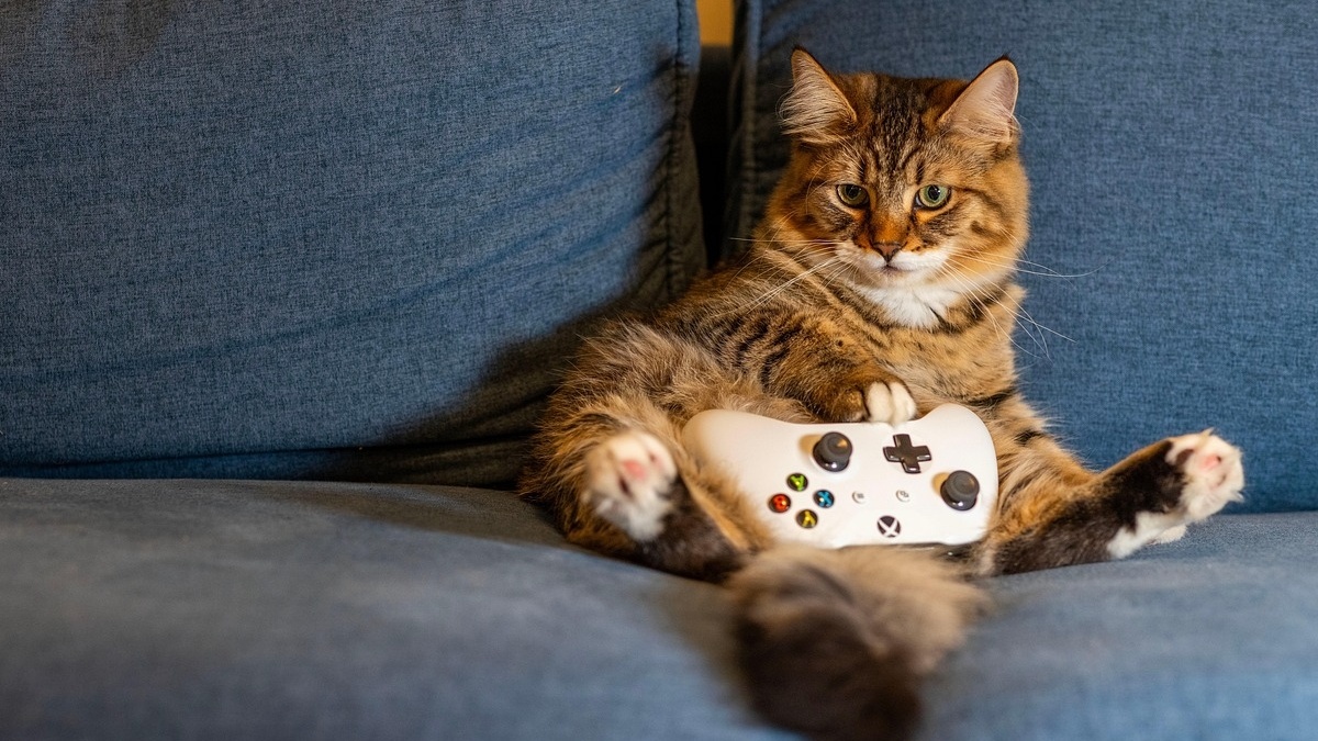 These smells are bad for your cat: keep them out of your home