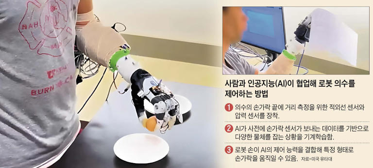 AI-assisted robotic hand safely transfers delicate objects